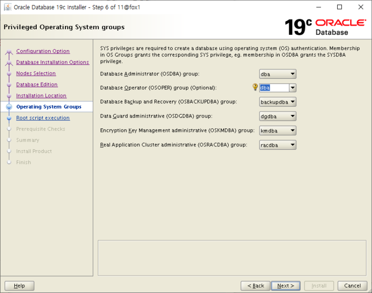 oracle grid 19c, oracle database 설치 – Blog-boxcorea